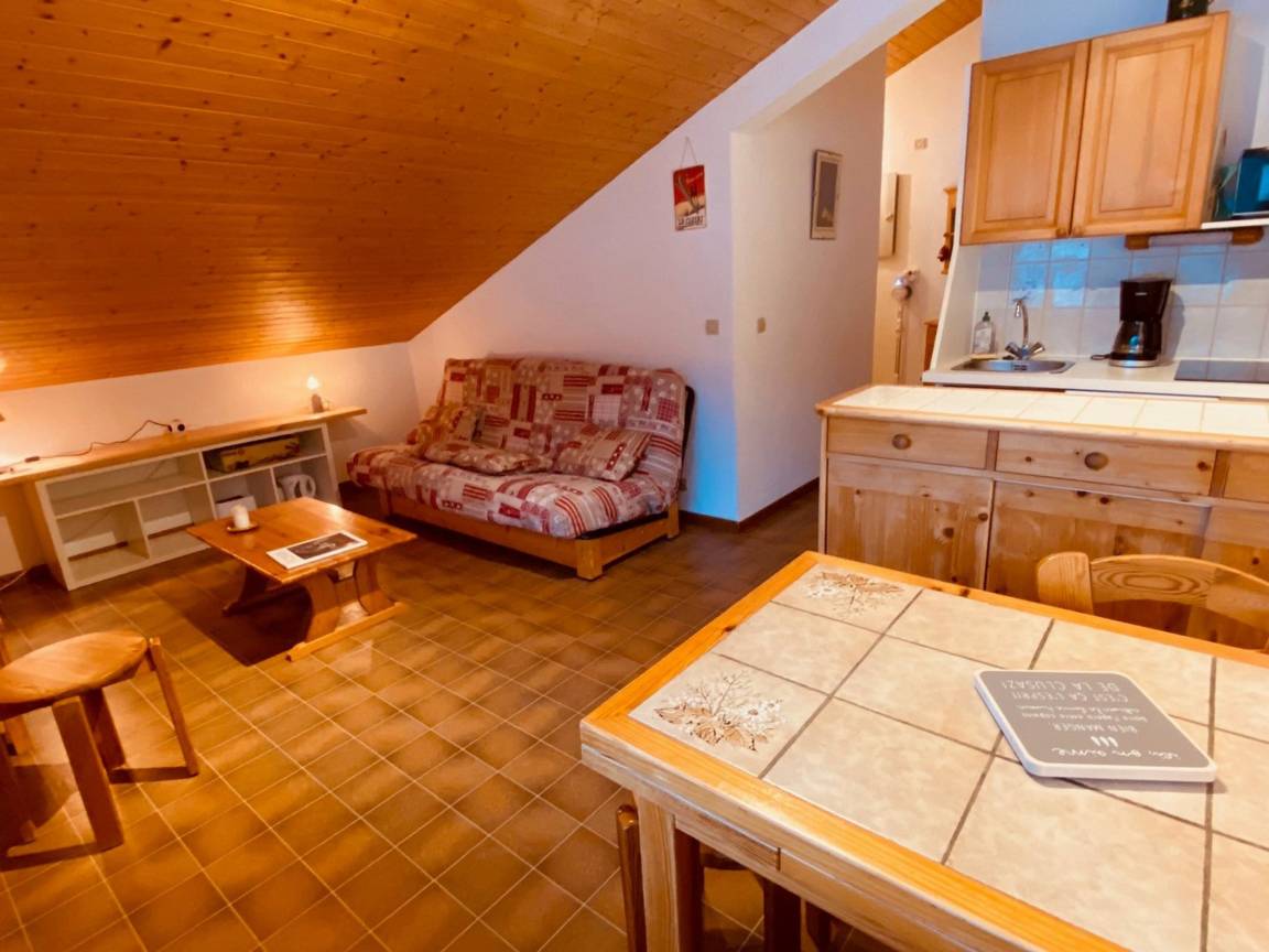 25 M² Appartement ∙ 1 Chambre ∙ 4 Personnes - La Clusaz