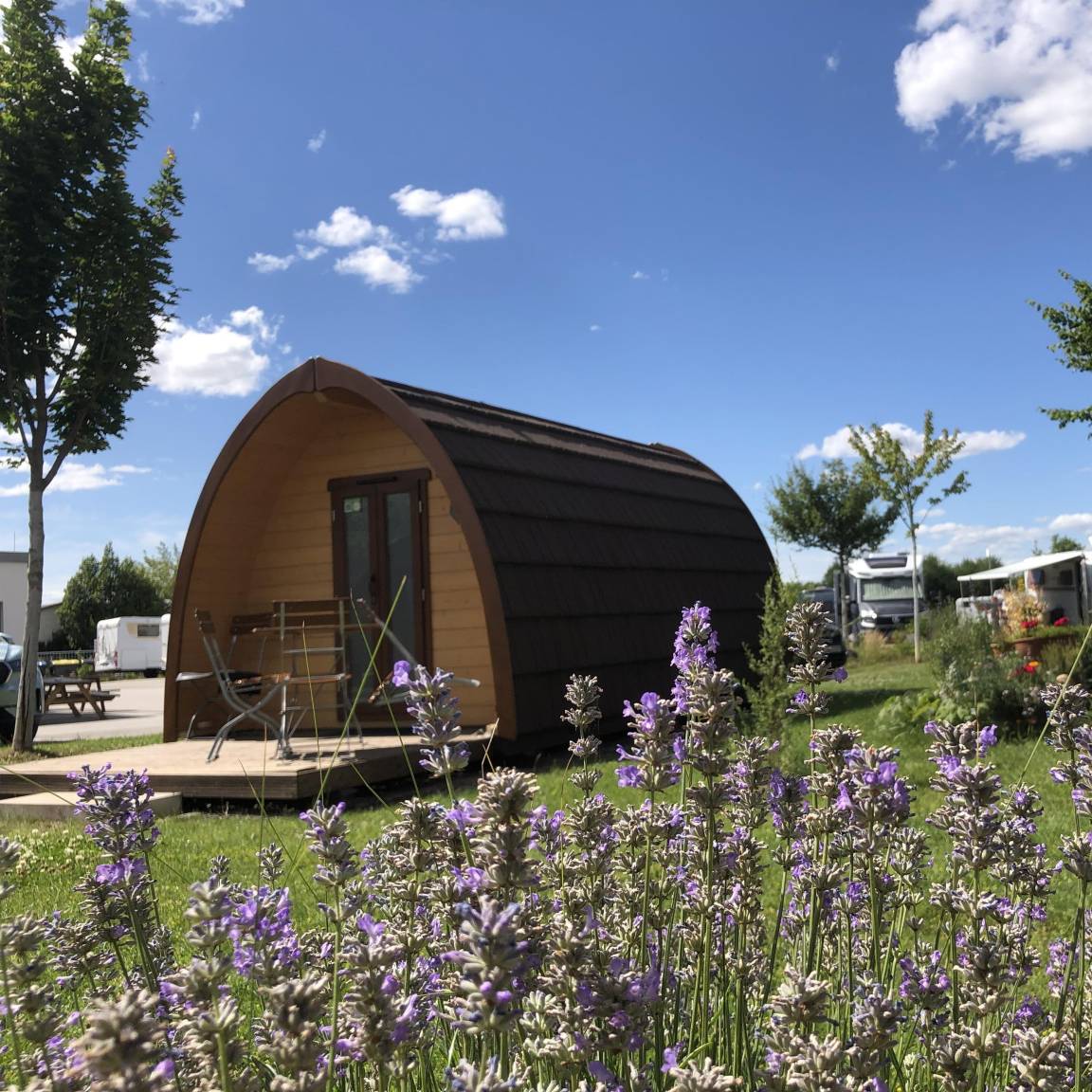 Camping ∙ 2 Guests - Erfurt