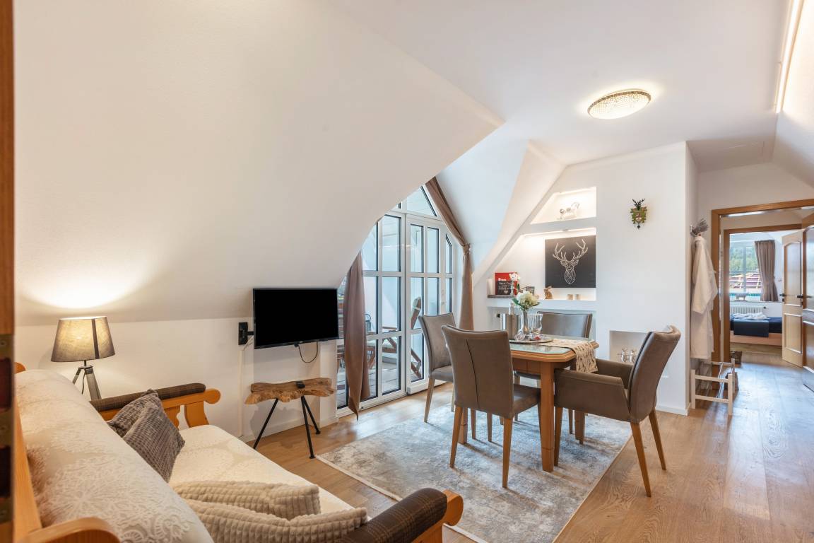 55 M² Appartement ∙ 1 Slaapkamer ∙ 4 Gasten - Hinterzarten