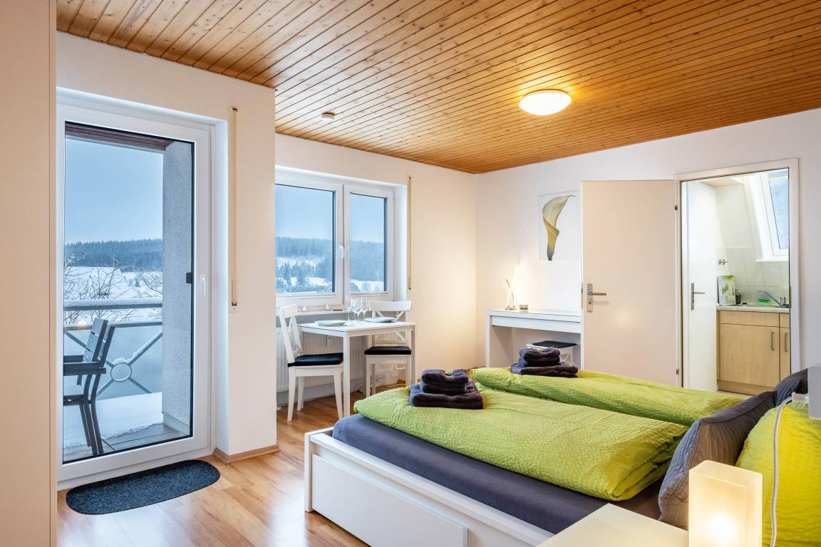 26 M² Studio Flat ∙ 2 Guests - Triberg