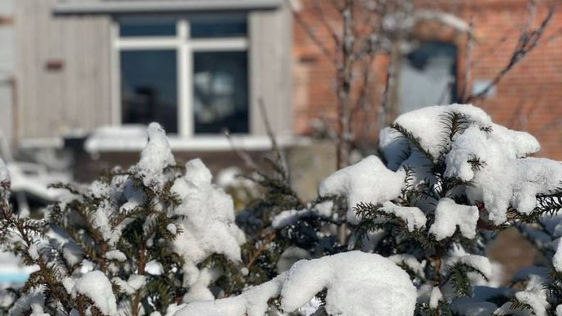 60 M² Ferienhaus ∙ 2 Schlafzimmer ∙ 3 Gäste - Sachsen