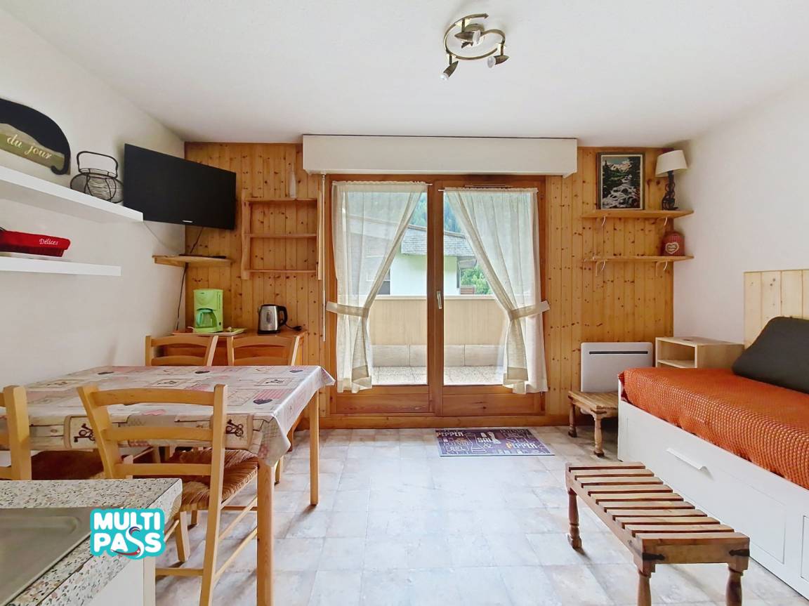 20 M² Studio Flat ∙ 4 Guests - Haute-Savoie