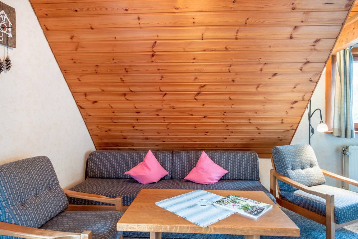 55 M² Ferienwohnung ∙ 1 Schlafzimmer ∙ 4 Gäste - Elzach