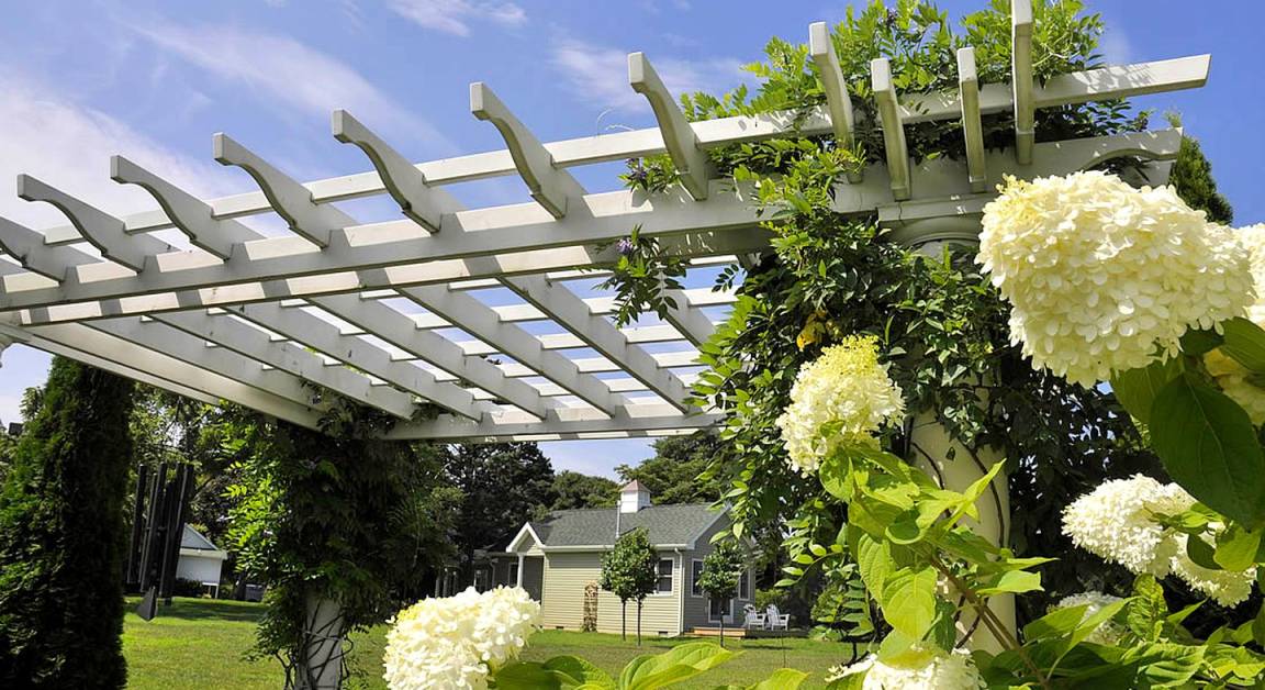 Lodge ∙ 1 Bedroom ∙ 2 Guests - Chesapeake Bay