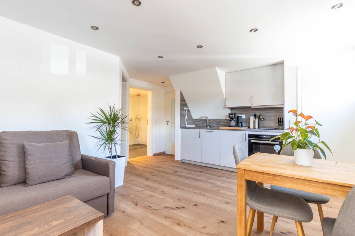 38 M² Ferienwohnung ∙ 1 Schlafzimmer ∙ 4 Gäste - Lenzkirch