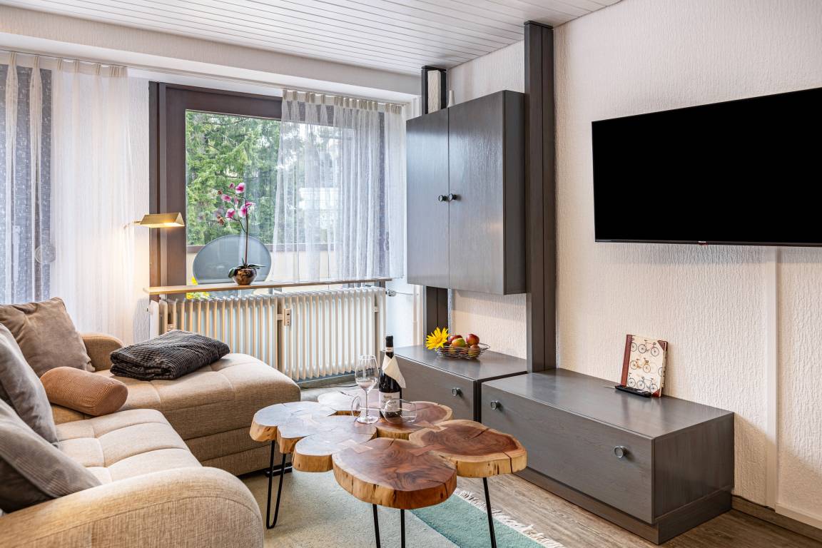 54 M² Apartment ∙ 1 Bedroom ∙ 4 Guests - Triberg