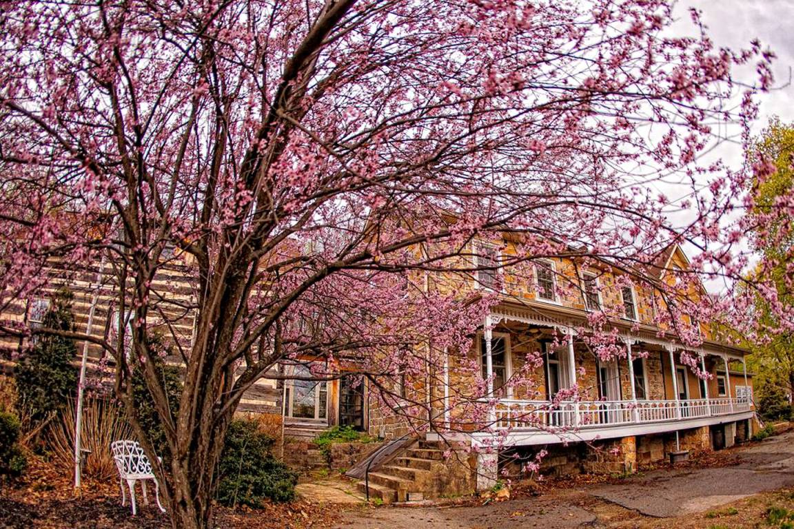 Majoitus ∙ 1 Makuuhuone ∙ 2 Vierasta - Jim Thorpe, PA