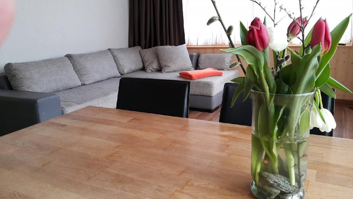 73 M² Ferienwohnung ∙ 2 Schlafzimmer ∙ 4 Gäste - Innertkirchen