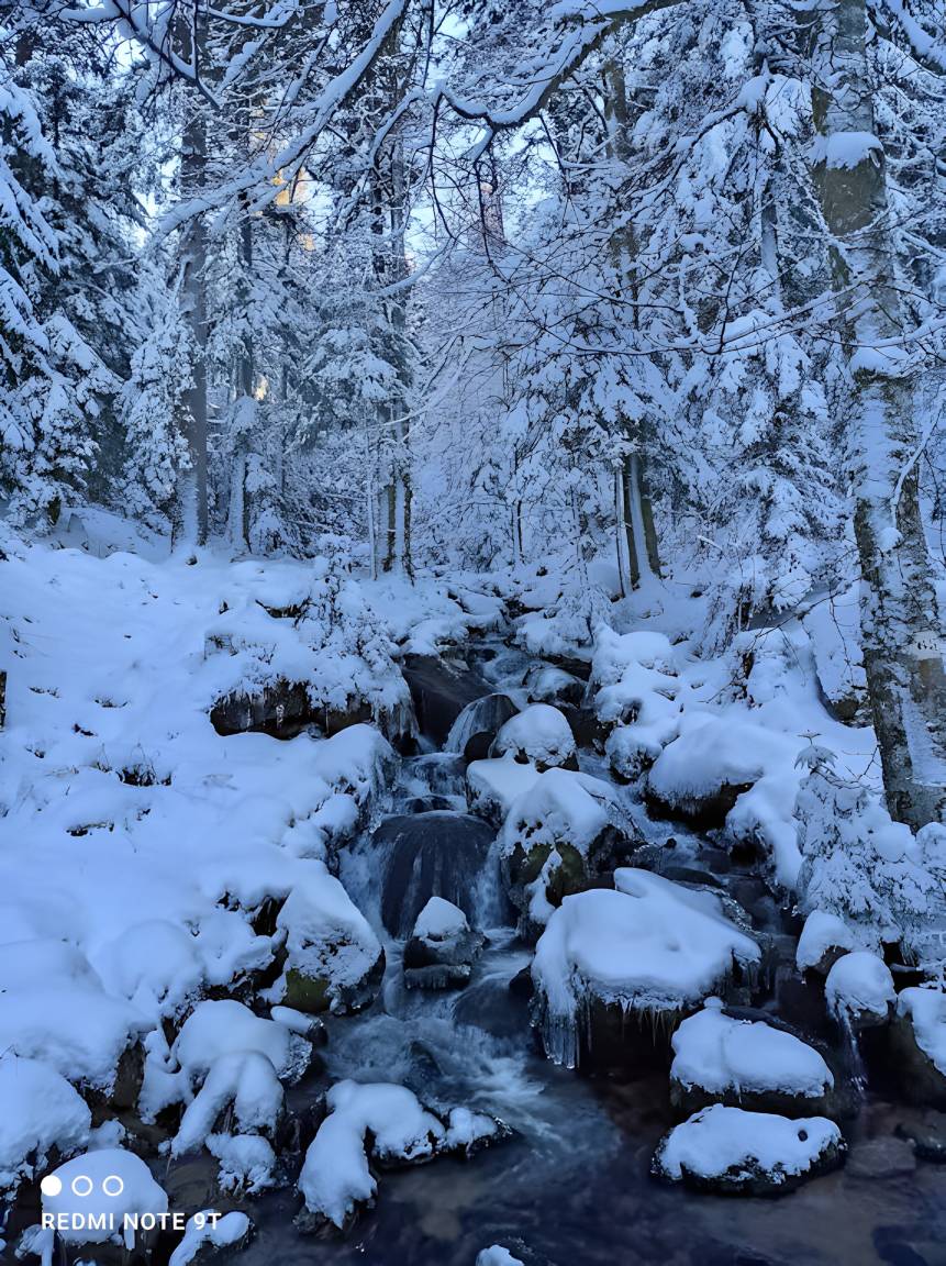 45 M² Cottage ∙ 1 Bedroom ∙ 4 Guests - Alps