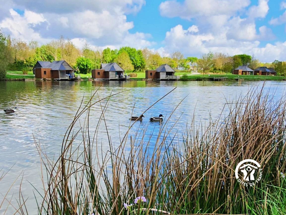 47 M² Cottage ∙ 2 Bedrooms ∙ 4 Guests - Mayenne