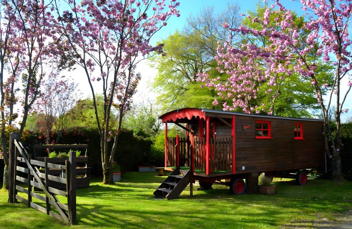 18 M² Chalet ∙ 1 Chambre ∙ 4 Personnes - Cotentin
