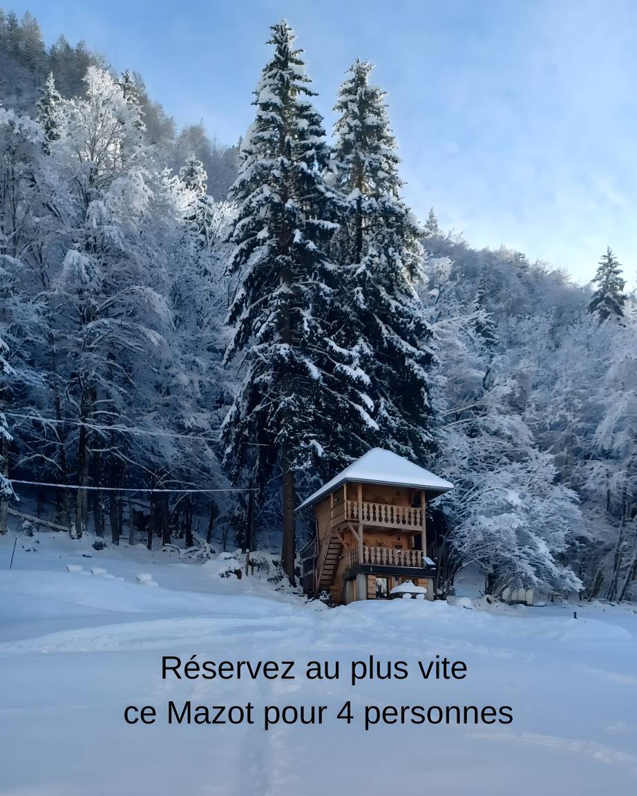 35 M² Chalet ∙ 2 Bedrooms ∙ 4 Guests - Champéry
