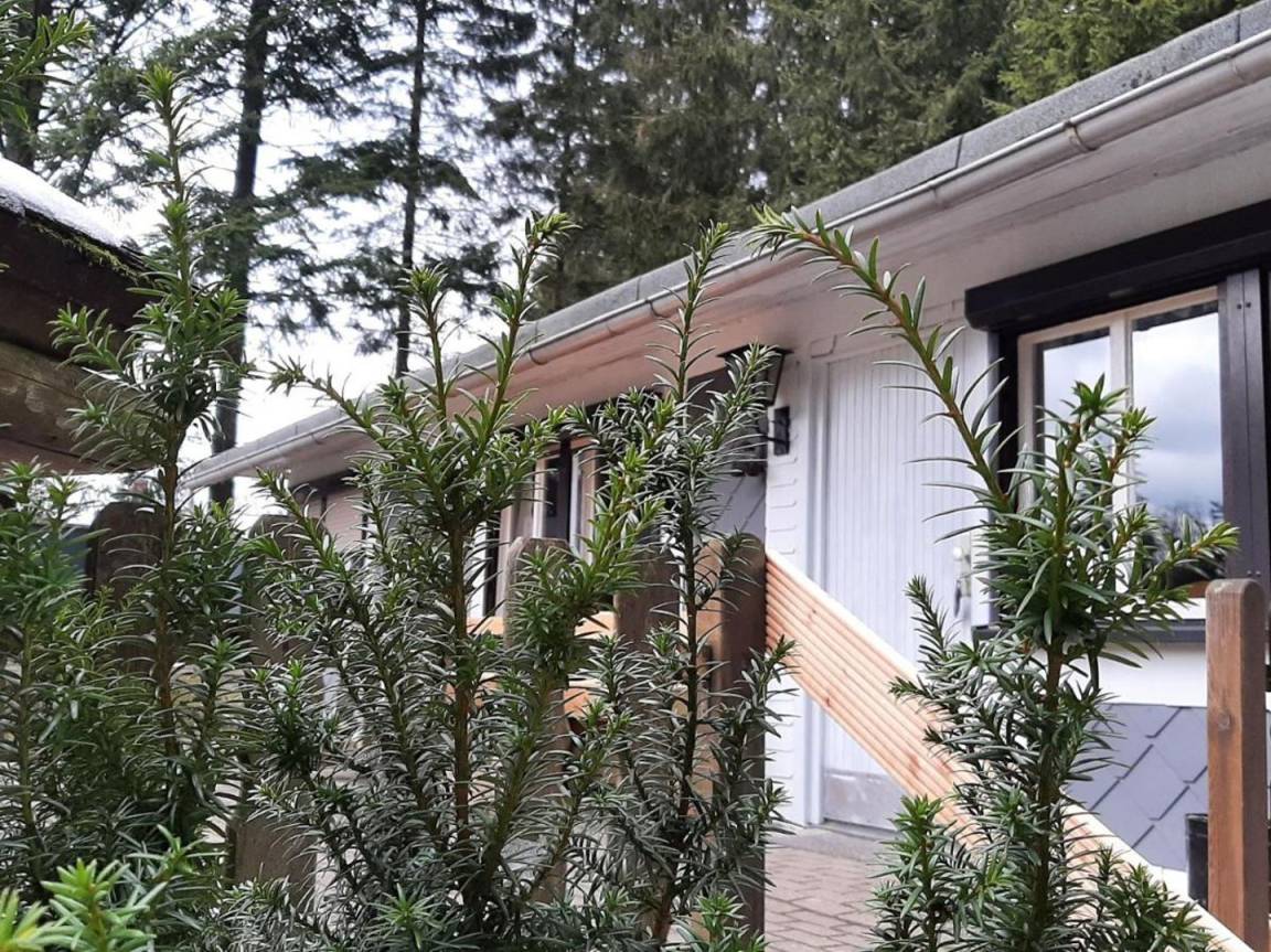 50 M² Ferienhaus ∙ 1 Schlafzimmer ∙ 5 Gäste - Masserberg