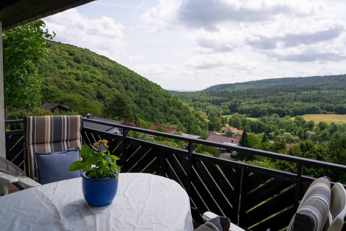 95 M² Apartamento ∙ 2 Habitaciones ∙ 4 Huéspedes - Bad Wildungen