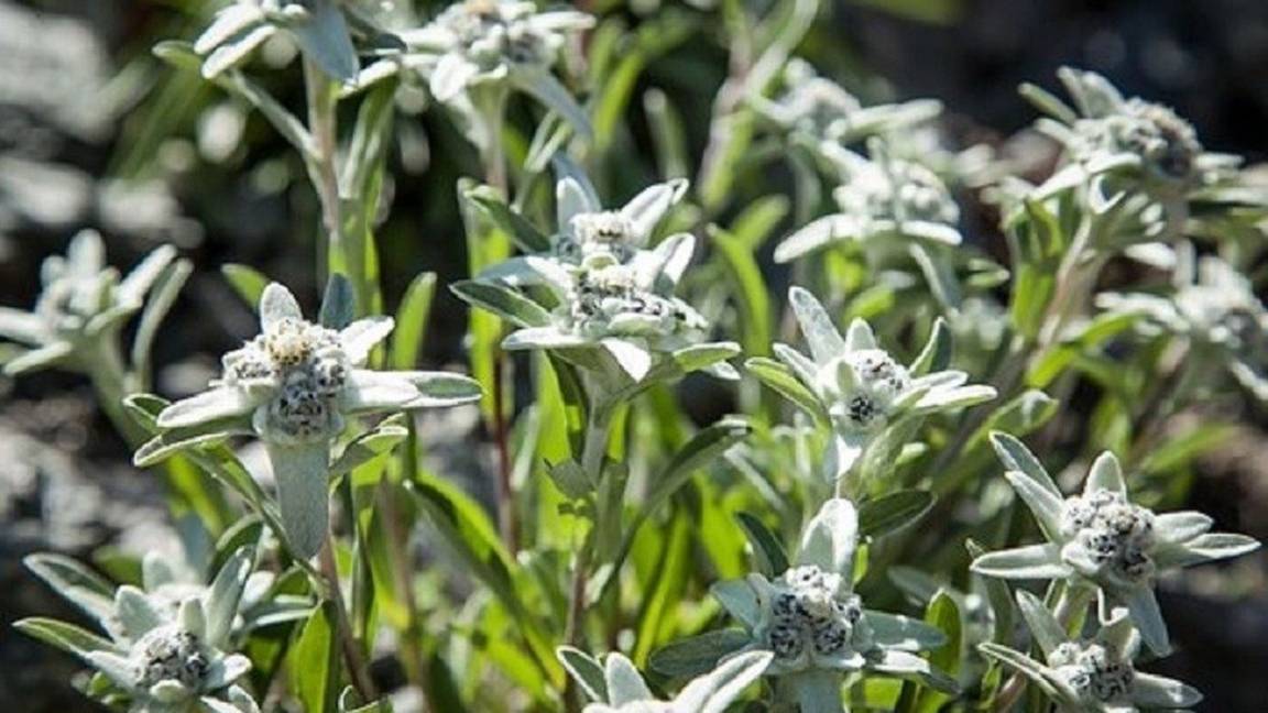 130 M² Appartamento Vacanza ∙ 3 Camere Da Letto ∙ 6 Ospiti - Ammersee