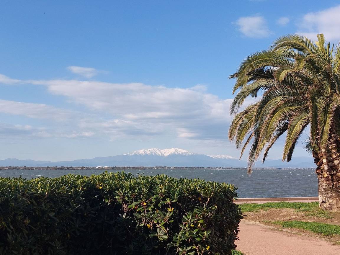 32 M² Ferienhaus ∙ 1 Schlafzimmer ∙ 4 Gäste - Torreilles