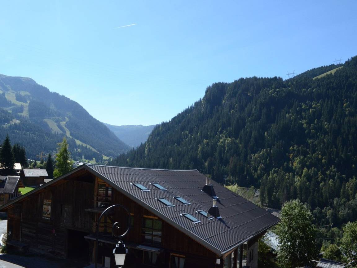 80 M² Appartement ∙ 3 Slaapkamers ∙ 8 Gasten - Châtel