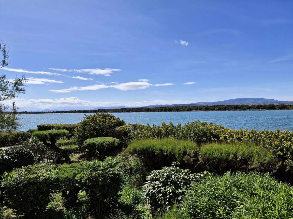 30 M² Appartement ∙ 1 Slaapkamer ∙ 4 Gasten - La Franqui