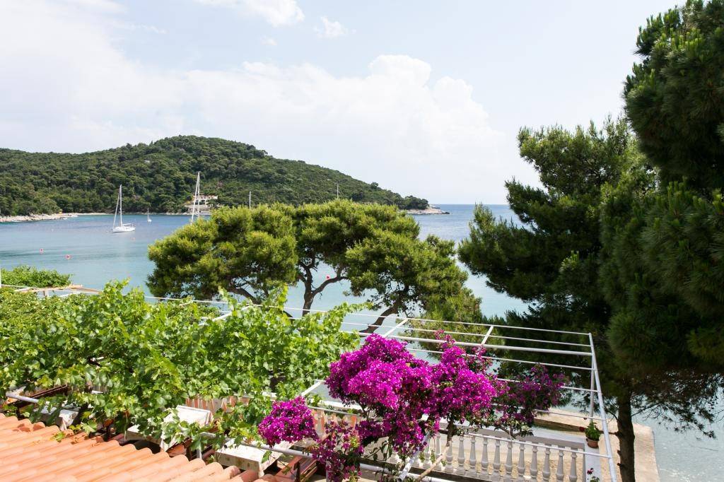 40 M² Apartment ∙ 1 Bedroom ∙ 4 Guests - Mljet