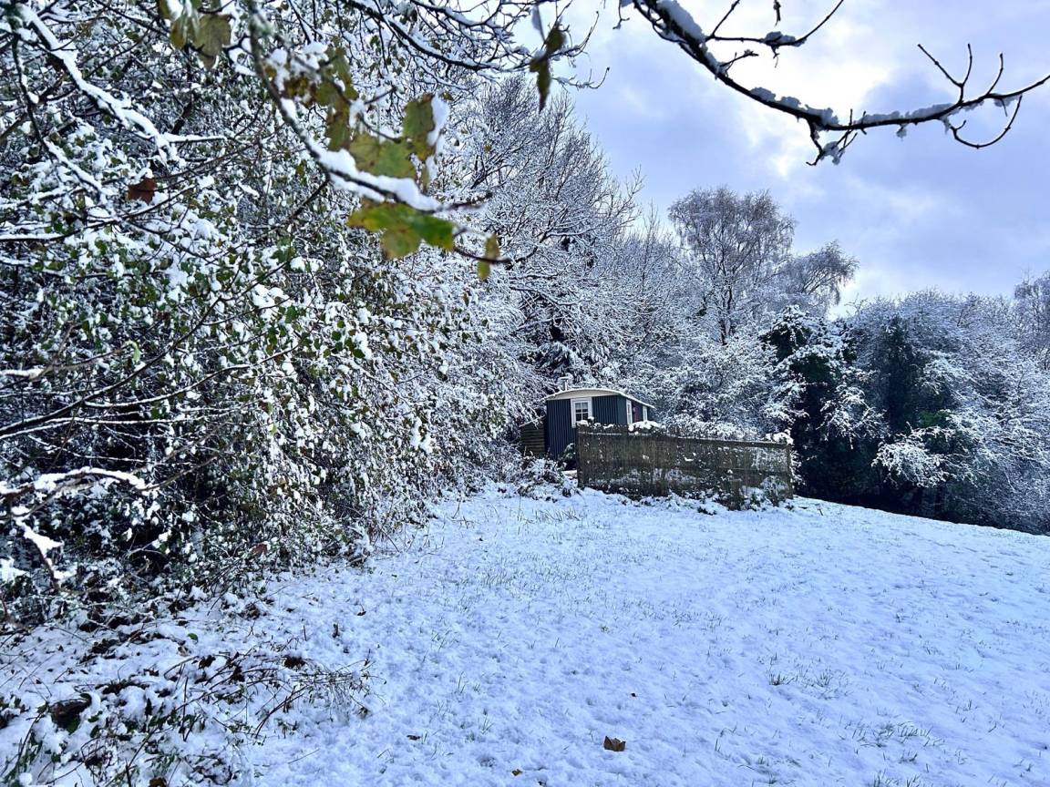 15 M² Cabin ∙ 1 Bedroom ∙ 2 Guests - Forest of Dean