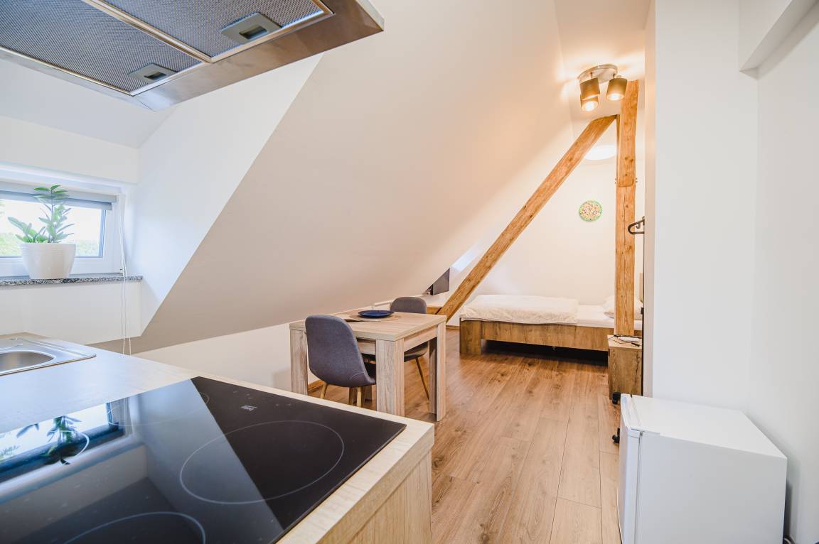 27 M² Studio Flat ∙ 1 Bedroom ∙ 2 Guests - Brežice