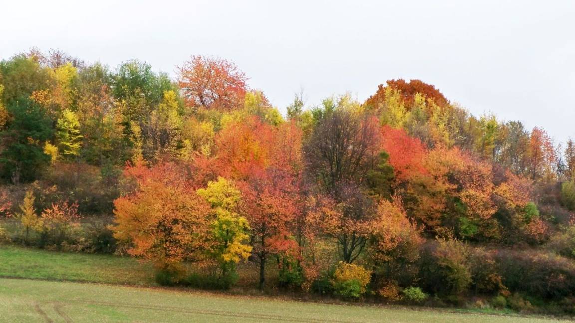 16 M² Hotel ∙ 2 Guests - Gersfeld