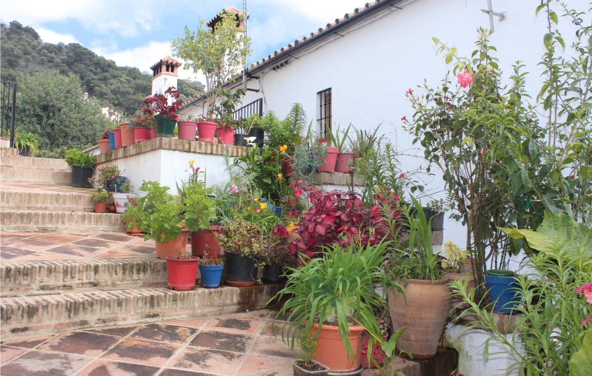 53 M² Apartamento ∙ 2 Habitaciones ∙ 4 Huéspedes - Cortes de la Frontera