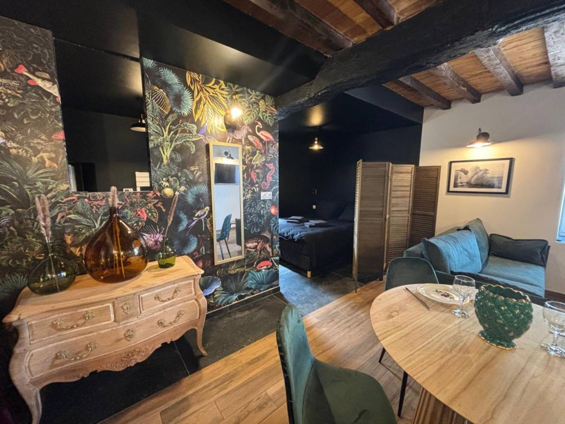 65 M² Appartement ∙ 1 Slaapkamer ∙ 2 Gasten - Varennes-sur-Allier
