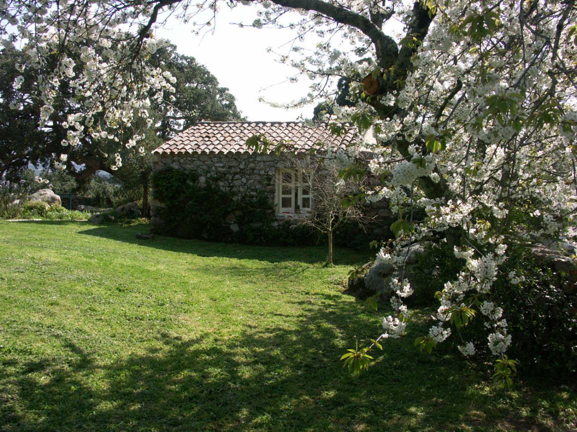 35 M² Longère ∙ 1 Chambre ∙ 3 Personnes - Sardaigne