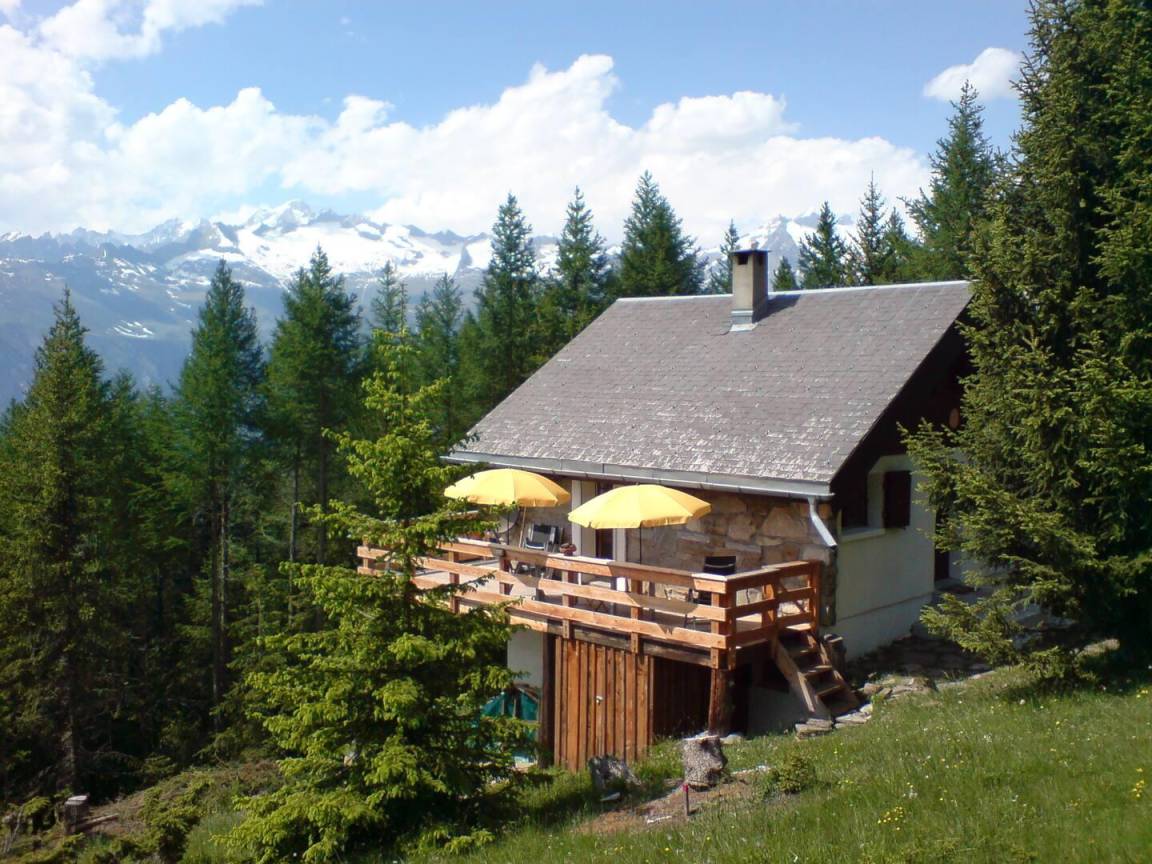 46 M² Apartment ∙ 3 Bedrooms ∙ 5 Guests - Riederalp