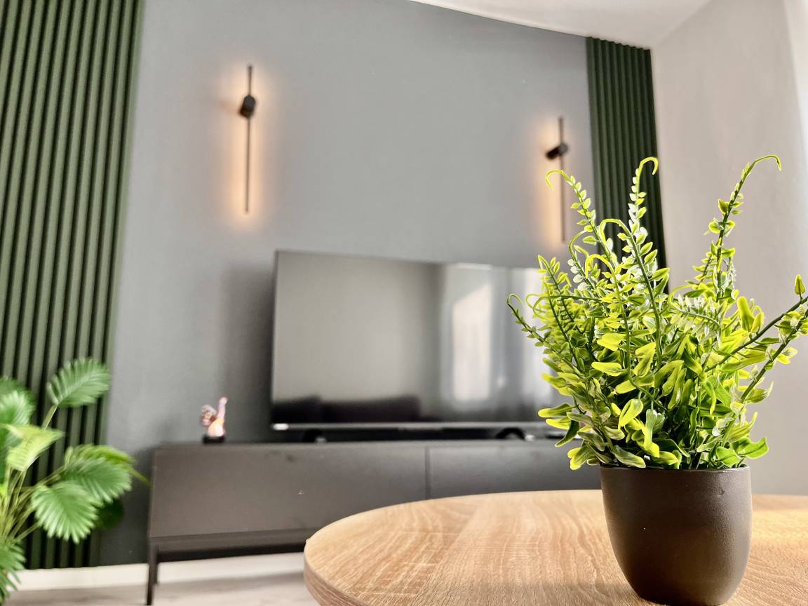 67 M² Apartment ∙ 2 Bedrooms ∙ 4 Guests - Halle (Saale)