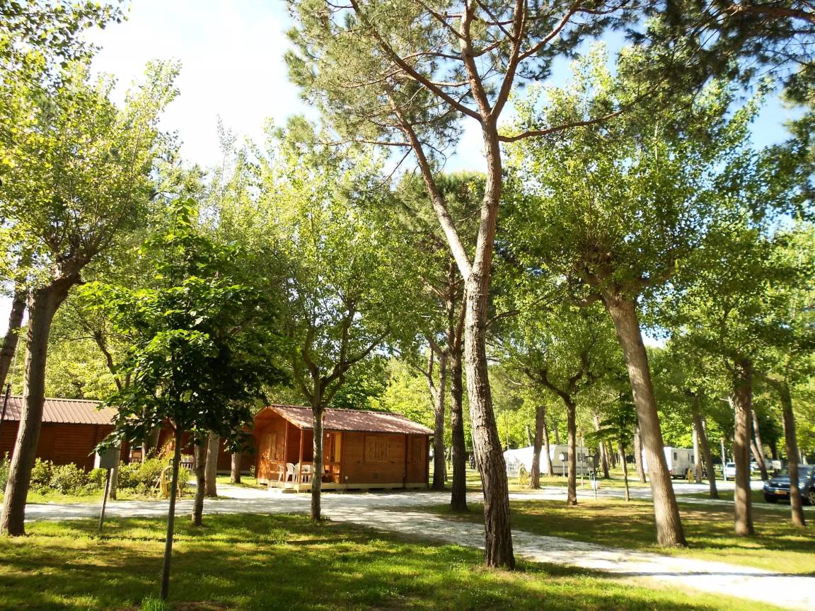 38 M² Mobilheim ∙ 1 Schlafzimmer ∙ 4 Gäste - Viareggio