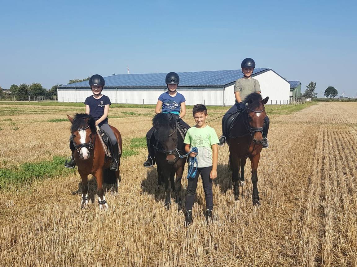 75 M² Casa Rural ∙ 2 Habitaciones ∙ 4 Huéspedes - Schleswig-Holstein