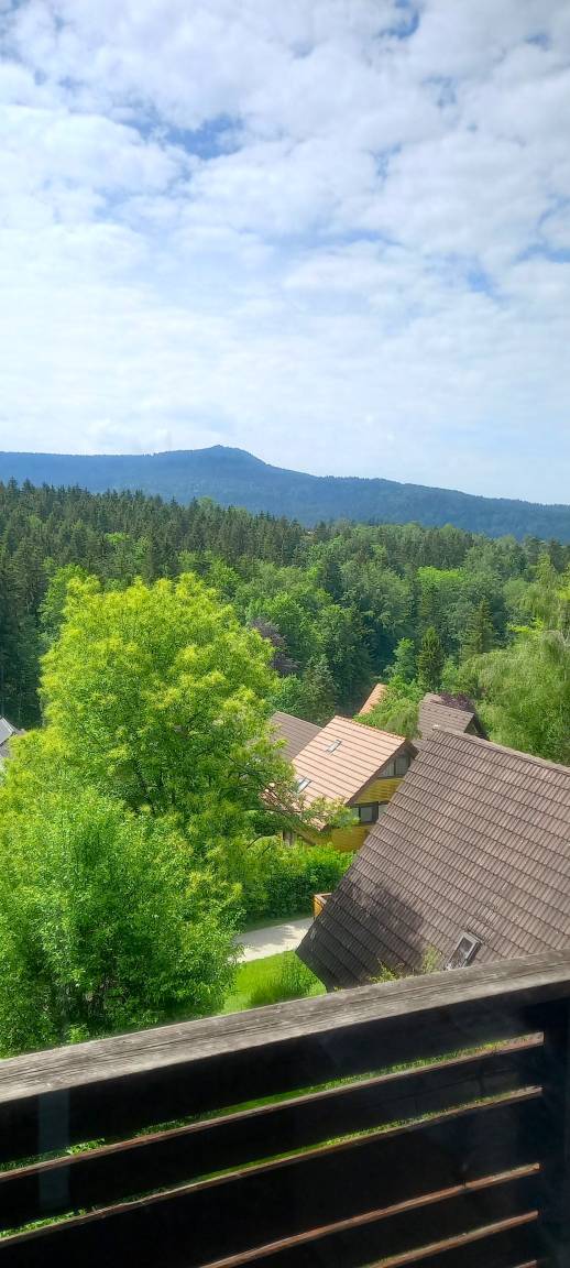 Apartment ∙ 4 Guests - Inzell