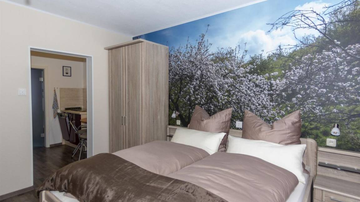 22 M² Ferienwohnung ∙ 1 Schlafzimmer ∙ 2 Gäste - Thale