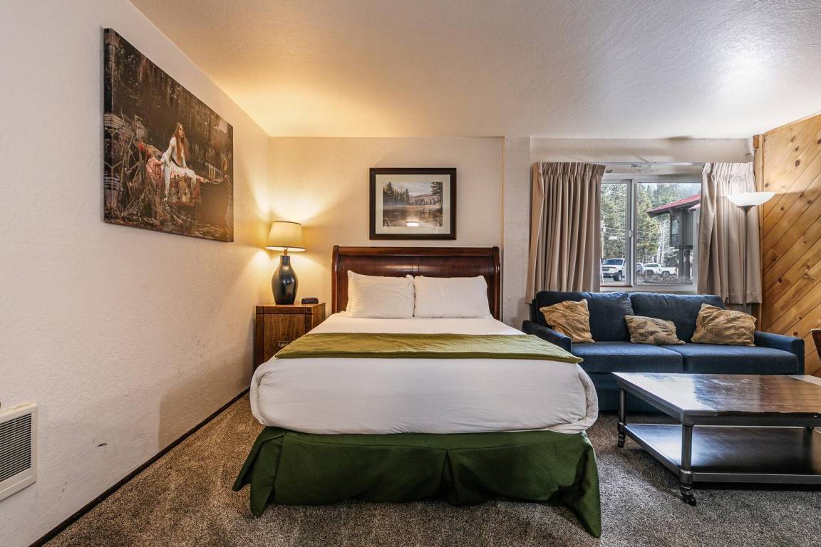 Apartment ∙ 1 Bedroom ∙ 4 Guests - Truckee, CA