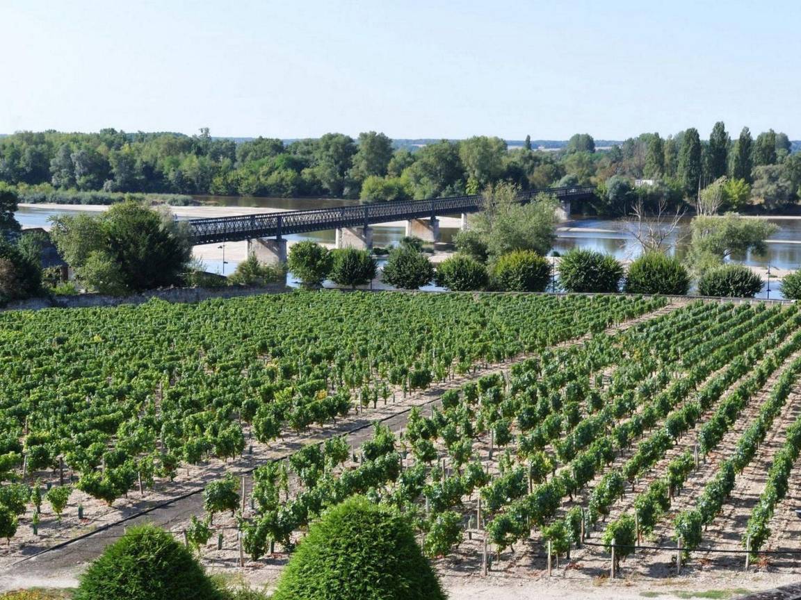 122 M² Casa Rural ∙ 3 Habitaciones ∙ 6 Huéspedes - Pouilly-sur-Loire