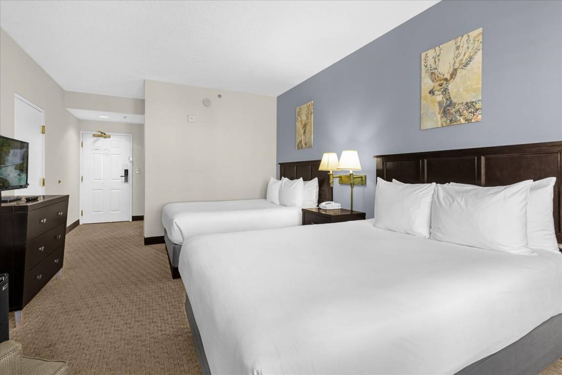 50 M² Studio Flat ∙ 4 Guests - Orlando, FL