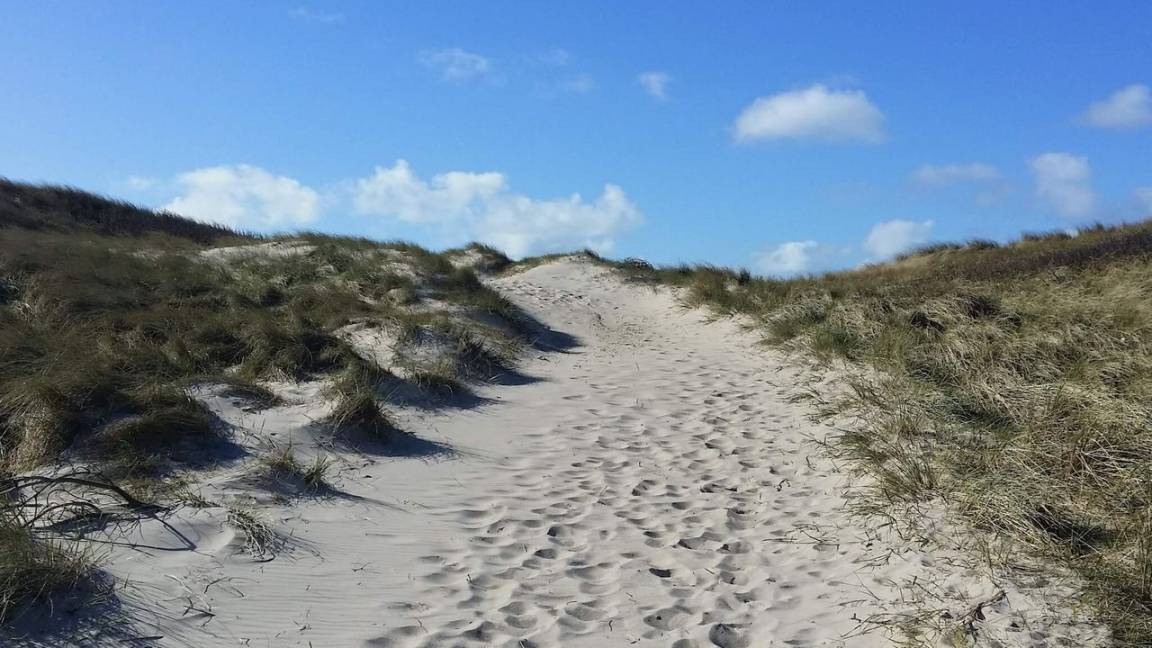 65 M² Ferienhaus ∙ 1 Schlafzimmer ∙ 8 Gäste - Søndervig