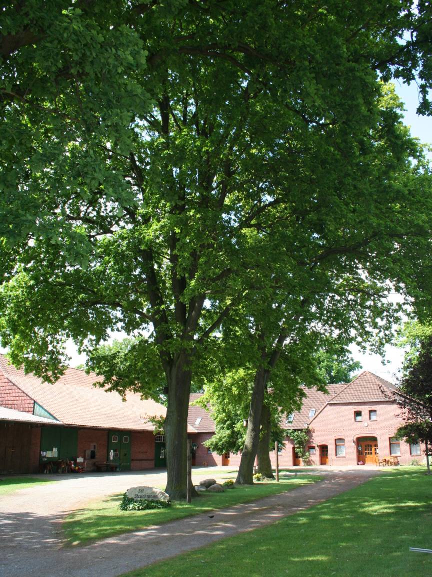 70 M² Ferienwohnung ∙ 1 Schlafzimmer ∙ 4 Gäste - Wunstorf