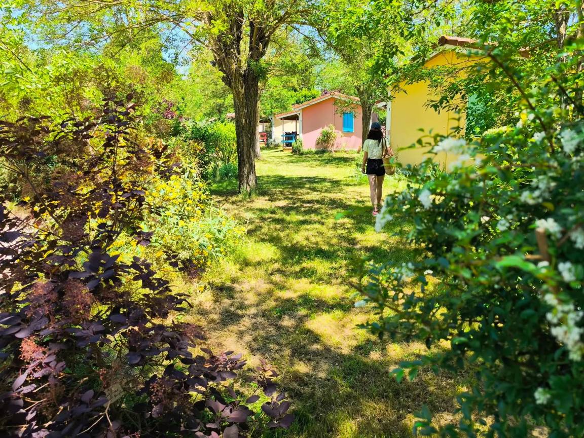 20 M² Chalet ∙ 1 Chambre ∙ 2 Personnes - Aveyron