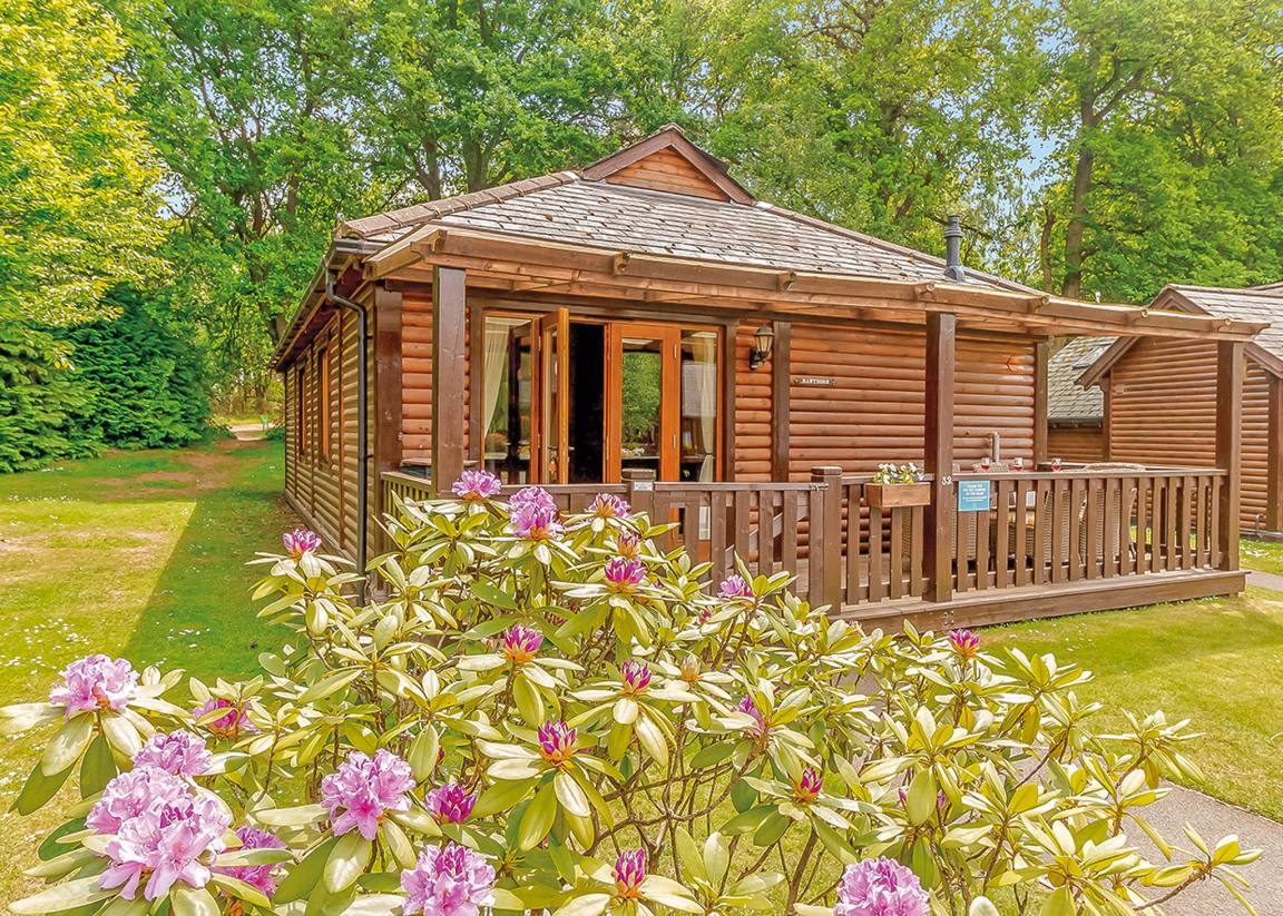 Chalet ∙ 3 Bedrooms ∙ 6 Guests - Hampshire