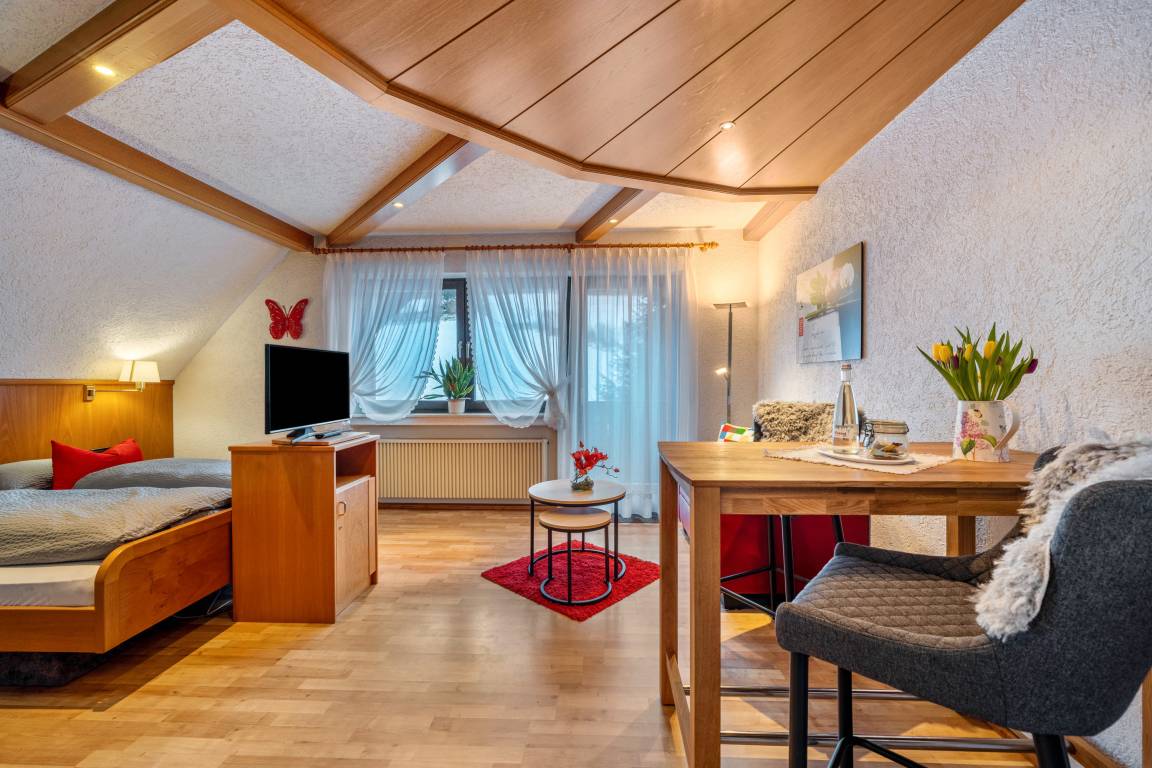 27 M² Appartement ∙ 1 Chambre ∙ 2 Personnes - Freudenstadt