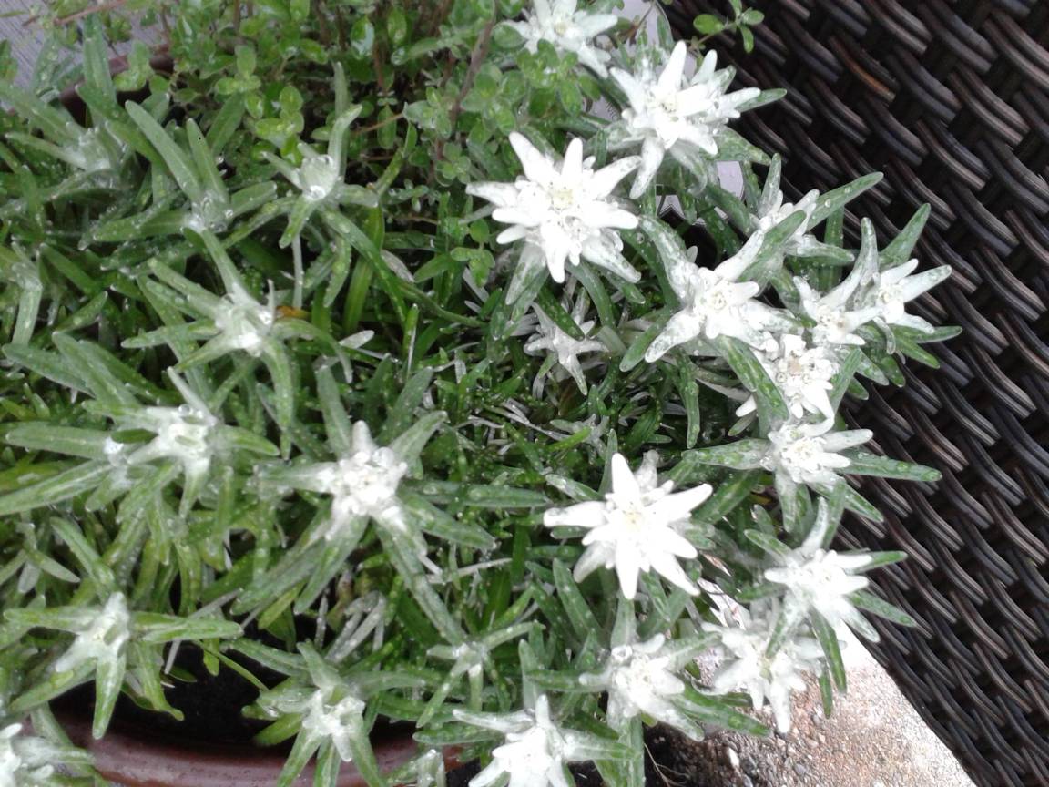 100 M² Apartament ∙ 2 Sypialnie ∙ 4 Gości - Pfronten