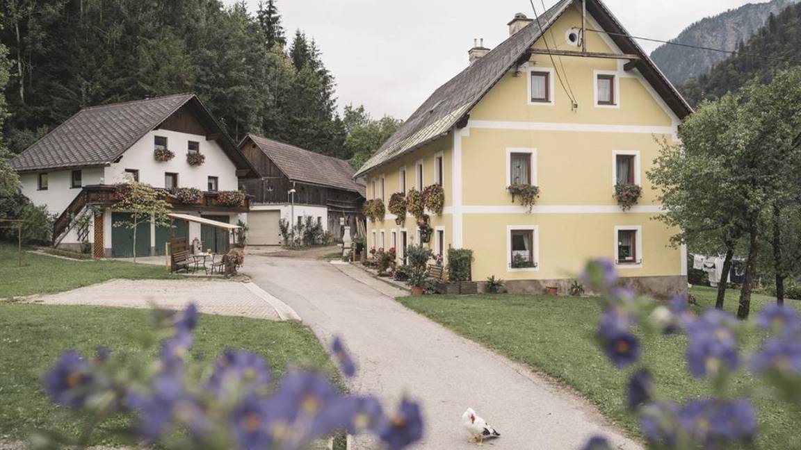 60 M² Ferienwohnung ∙ 2 Schlafzimmer ∙ 4 Gäste - Steiermark