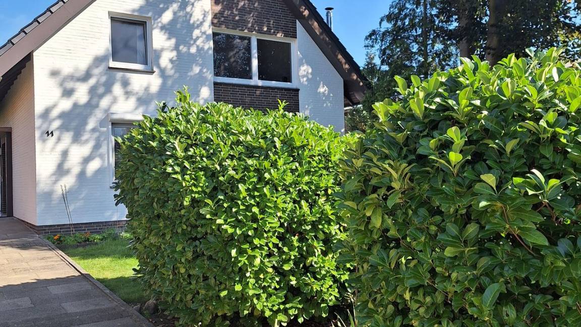 80 M² Ferienwohnung ∙ 3 Schlafzimmer ∙ 4 Gäste - Winsen (Luhe)