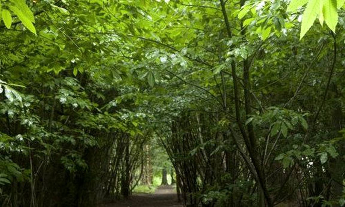 Camping ∙ 1 Bedroom ∙ 4 Guests - West Sussex