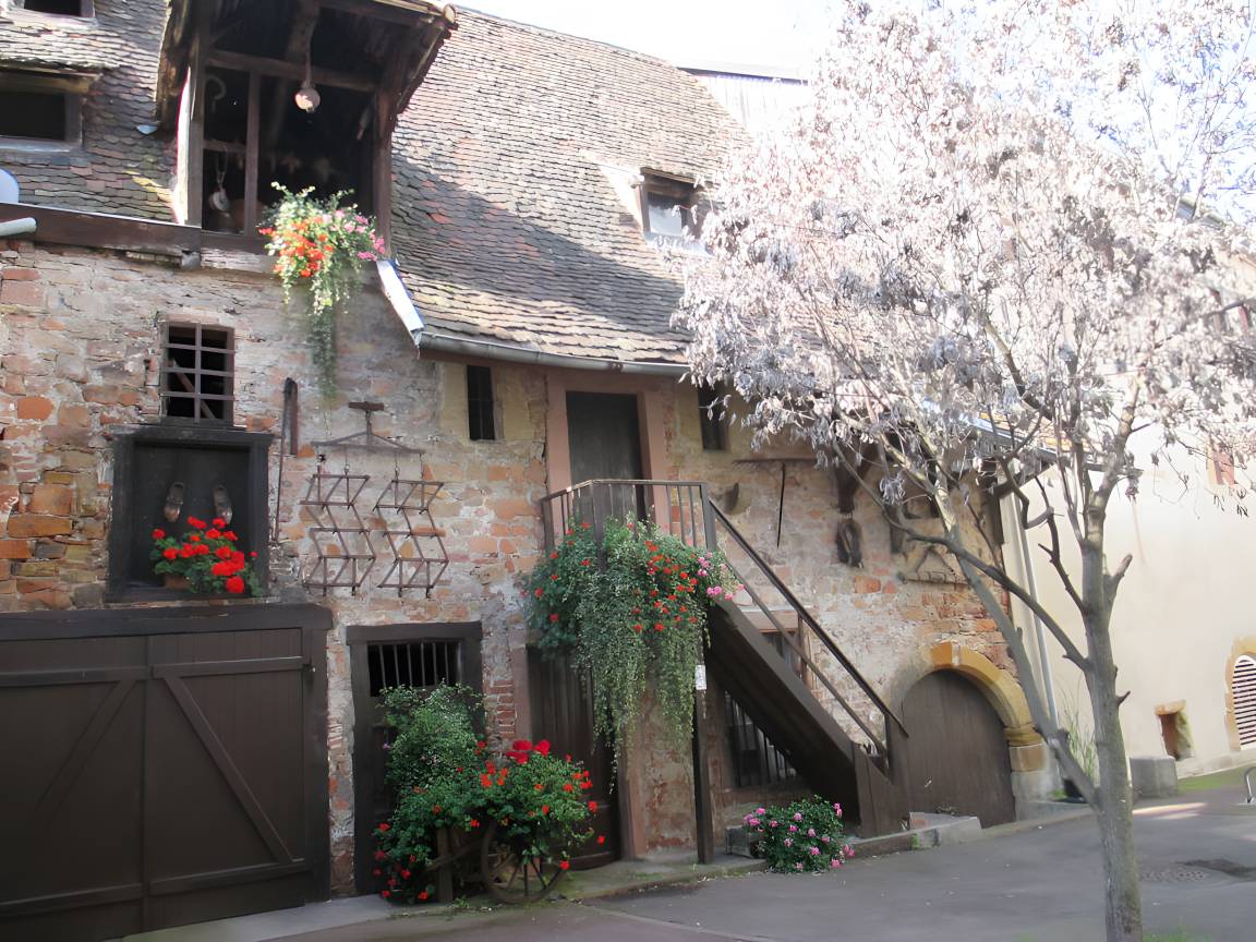 25 M² Bed And Breakfast ∙ 1 Bedroom ∙ 2 Guests - Colmar