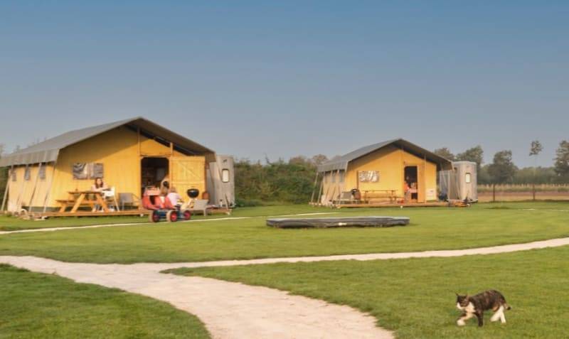 Tente ∙ 2 Chambres ∙ 4 Personnes - Veghel