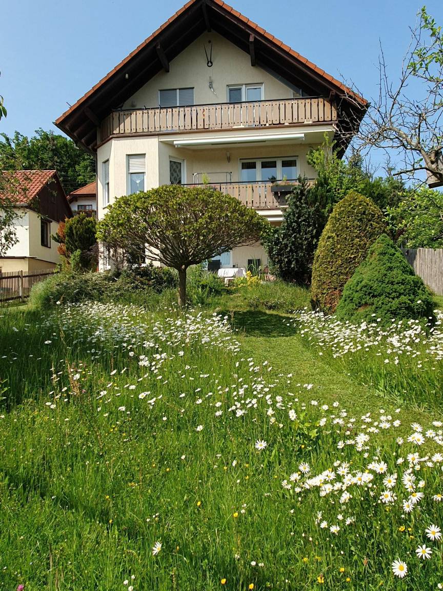 50 M² Apartment ∙ 1 Bedroom ∙ 2 Guests - Jena